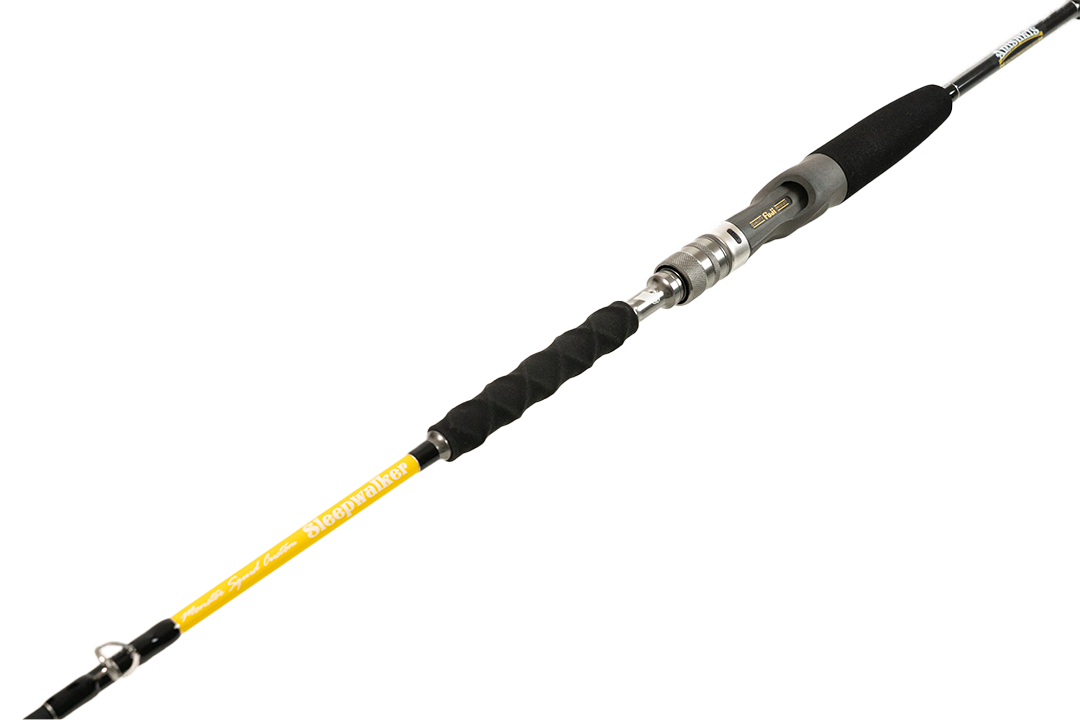 スリープウォーカー / SLEEP WALKER - アニサキス公式HP